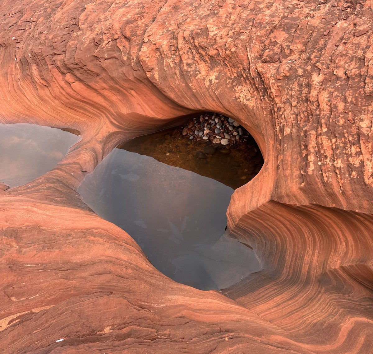 A Poem: Sustenance – Beth Henshaw